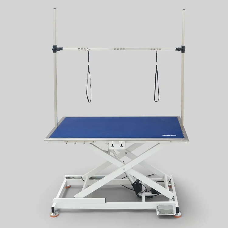RoversEdge Electric Table 26"X50" with Overhead Grooming Arm (RE44HT ...